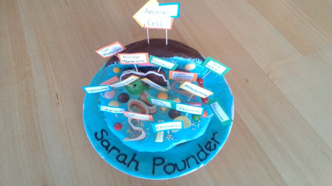AC Year 8 Science Projects